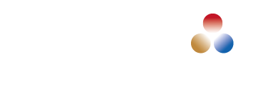 INICIO - Teleswitch International